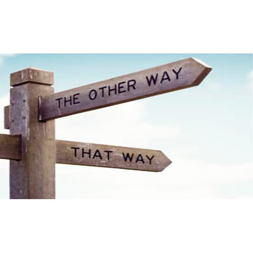 The importance of following your own path | Valentines Learning